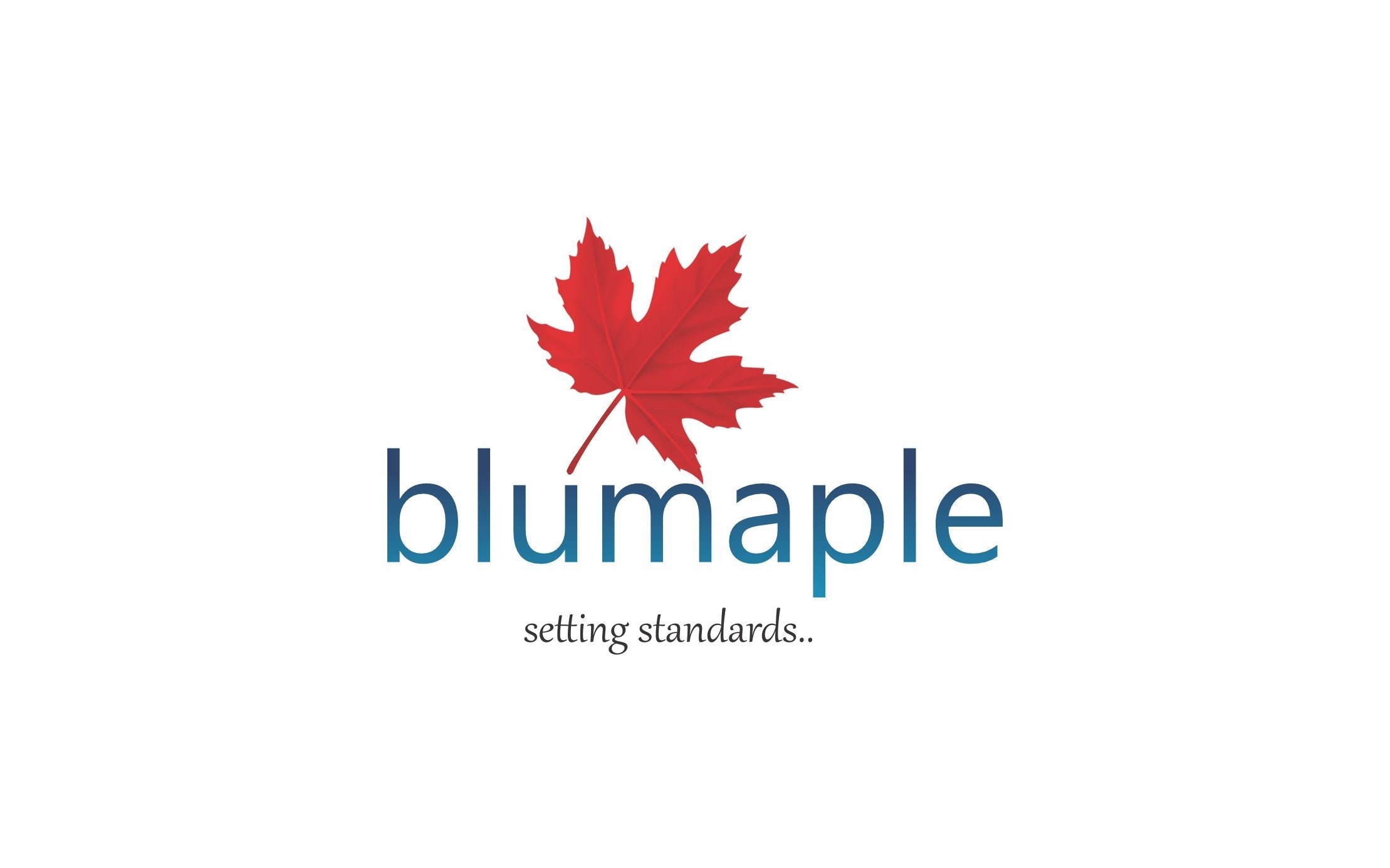 Blumaple - Setting Standards – Blumaple LLP
