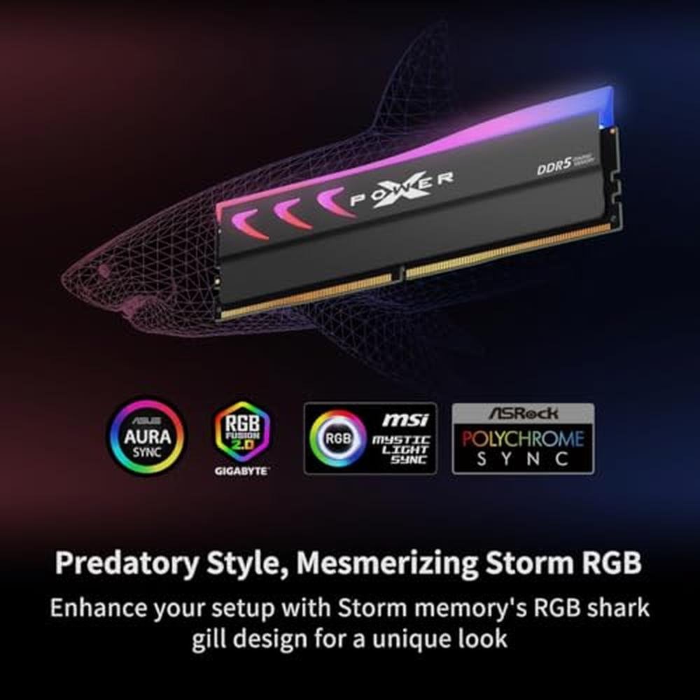 Silicon Power DDR5 32GB | 2x16GB Storm RGB 6000MT/s PC5-48000 288-pin ...